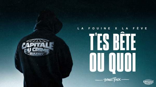 T’es Bête Ou Quoi Lyrics - La Fouine