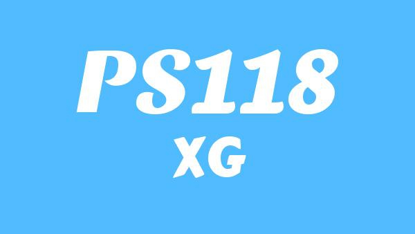 PS118 Lyrics - XG